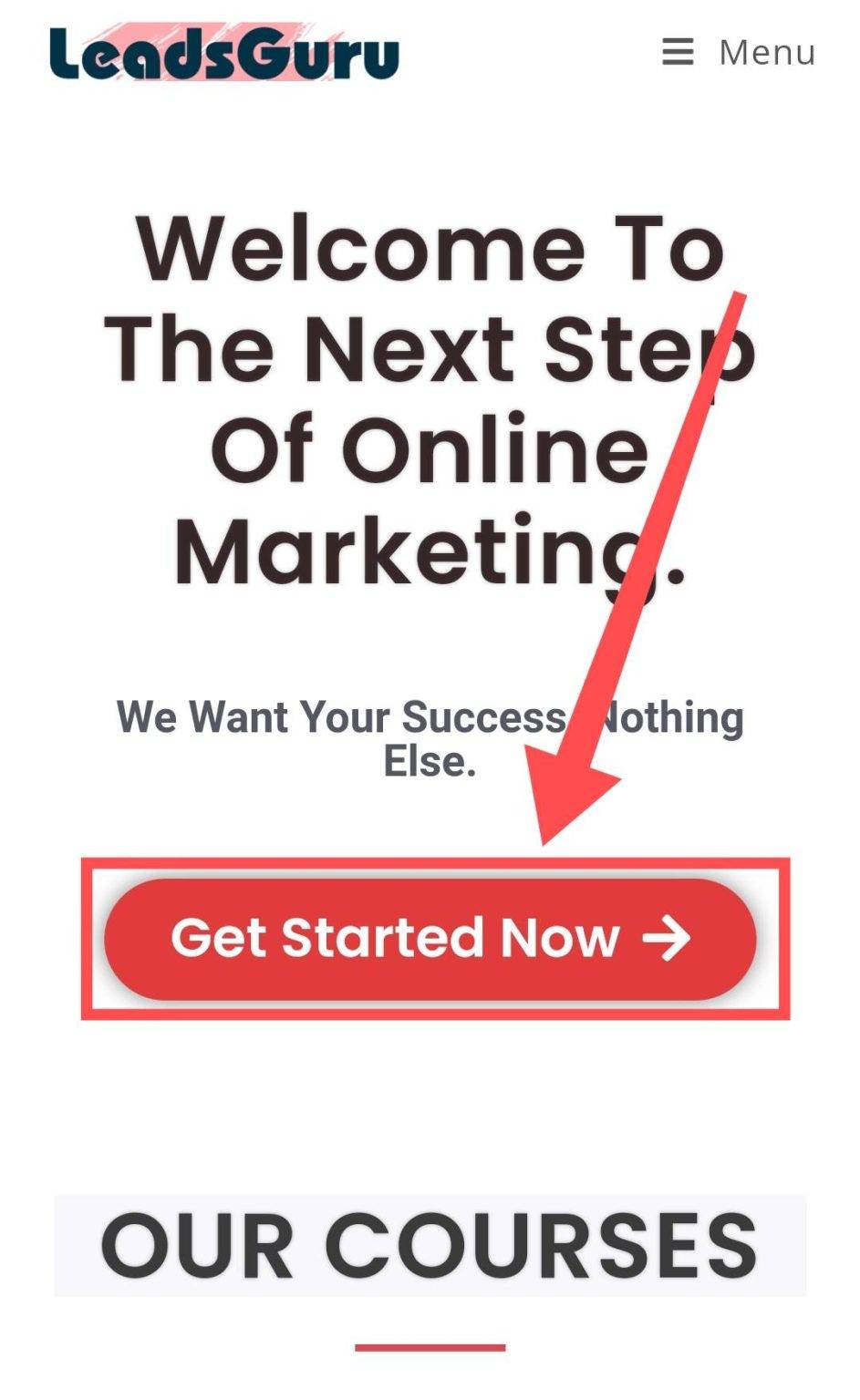 LeadsGuru क्या है [ 1 लाख ] LeadsGuru Affiliate marketing - LeadsGuru ...