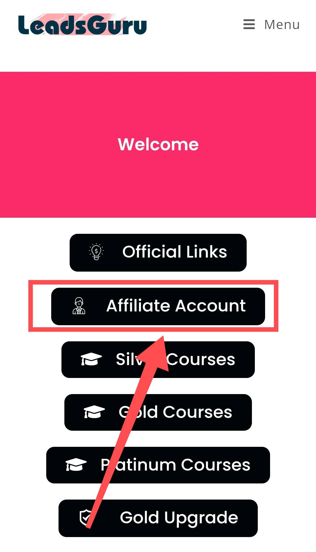 LeadsGuru क्या है [ 1 लाख ] LeadsGuru Affiliate marketing - LeadsGuru ...